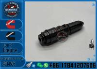 China 4914505 3013725 3018566 3047964 3047985 Premium PT Fuel injector Assembly series for N engine Diesel Fuel injection system for sale