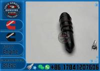 China 4914505 3013725 3018566 3047964 3047985 Premium PT Fuel injector Assembly series for N engine Diesel Fuel injection system for sale