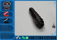 China 4914505 3013725 3018566 3047964 3047985 Premium PT Fuel injector Assembly series for N engine Diesel Fuel injection system for sale