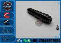 China 4914505 3013725 3018566 3047964 3047985 Premium PT Fuel injector Assembly series for N engine Diesel Fuel injection system for sale
