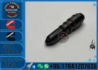 China 3054216 4914453 4914537 4914325 4915472 4914308 Premium PT Fuel injector Assembly series for N-PTD engine Diesel Fuel injection system for sale