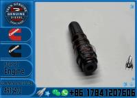 China 3054216 4914453 4914537 4914325 4915472 4914308 Premium PT Fuel injector Assembly series for N-PTD engine Diesel Fuel injection system for sale
