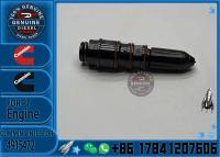 China 3054216 4914453 4914537 4914325 4915472 4914308 Premium PT Fuel injector Assembly series for N-PTD engine Diesel Fuel injection system for sale