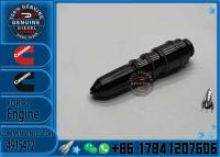 China 3054216 4914453 4914537 4914325 4915472 4914308 Premium PT Fuel injector Assembly series for N-PTD engine Diesel Fuel injection system for sale