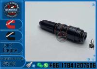 China Genuine High Quality Common Rail injector Diesel Fuel Injector 4951420 3045102 for Engine Parts for sale