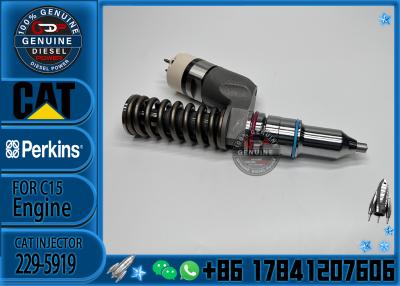 China Common Rail Injector Assy Injector 211-3025 10R-0955 10R-8500 229-5919 10R-1000 Engine C15 2113025 for sale