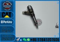 China Fuel Injector 295050-0421 3707287 295050-0411 3707286 295050-1810 4183229 EXCAVATOR for sale
