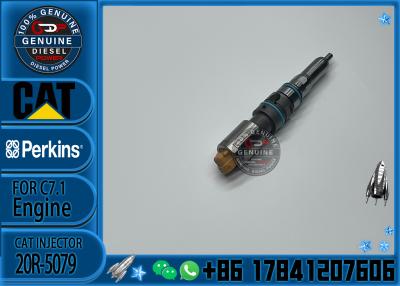 China Diesel Engine Auto Parts Common Rail Fuel Injector 456-3544 20R-5079 for Engine C-9 for sale
