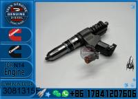 China Common Rail Fuel Injector 4384360 4902924 6087807 3073995F 3080931F 3081315F for Sprayer Excavator N14 Injector Truck Parts for sale