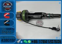China Common Rail Fuel Injector 4380191 Y431K05858 for Sprayer Excavator QSK19 Injector Truck Parts for sale