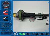 China Common Rail Fuel Injector 4380191 Y431K05858 for Sprayer Excavator QSK19 Injector Truck Parts for sale