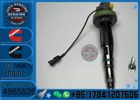 China Common Rail Fuel Injector 2882077 2882078 2882079 4928104 4955526 for Sprayer Excavator QSK19-6 Injector Truck Parts for sale