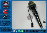 China Common Rail Fuel Injector 2882077 2882078 2882079 4928104 4955526 for Sprayer Excavator QSK19-6 Injector Truck Parts for sale