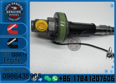 China Y431K05393 0986435905 2882078 4964170 2867148 4955527 BUER High Quality Fuel Injector Compatible QSK19 QSK38 QSK50 QSK60 Crawler for sale