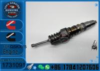 China High Quality Injector Excavator Engine Injectors 1731091 579253 for sale