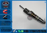 China High Quality Injector Excavator Engine Injectors 1731091 579253 for sale