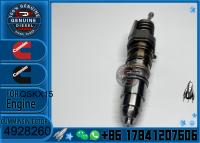 China Diesel Engine Parts High Quality Injector 4928260 4928260PX 4928260RX 4062568 4088665 4204584 4954434 for sale
