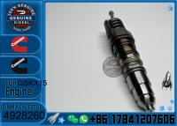 China Diesel Engine Parts High Quality Injector 4928260 4928260PX 4928260RX 4062568 4088665 4204584 4954434 for sale