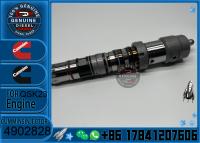 China 4902827 4902828 Diesel Fuel Injector for C-ummins QSK23 QSK60 Engine for sale