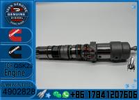China 4902827 4902828 Diesel Fuel Injector for C-ummins QSK23 QSK60 Engine for sale