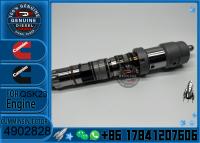 China 4902827 4902828 Diesel Fuel Injector for C-ummins QSK23 QSK60 Engine for sale