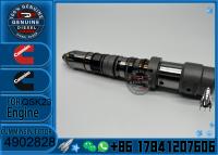 China 4902827 4902828 Diesel Fuel Injector for C-ummins QSK23 QSK60 Engine for sale