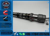 China 4902827 4902828 Diesel Fuel Injector for C-ummins QSK23 QSK60 Engine for sale