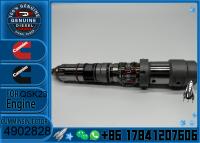 China 4902827 4902828 Diesel Fuel Injector for C-ummins QSK23 QSK60 Engine for sale