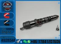 China 4902827 4902828 Diesel Fuel Injector for C-ummins QSK23 QSK60 Engine for sale