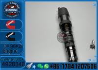 China 4902817 4088426 4984457 4928348 4088427 4326784 Fuel Injectors Suitable for QSK32 and QSK60 Engines for sale
