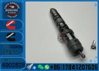 China Machinery Injector QSK23 QSK60 Diesel Engine Fuel Injector 4902827 4902828 for sale