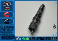 China Machinery Injector QSK23 QSK60 Diesel Engine Fuel Injector 4902827 4902828 for sale