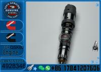 China Common Rail Injector Fuel Injecto 4326779 4928346 4928349 for QSK23 Excavator QSK23 QSK45 QSK60 for sale