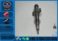 China New Construction Machinery Parts Fuel Injector for QSL Diesel 5491659 4359204X Compatible with for C-UMMINS Diesel Engine for sale