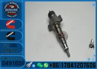 China New Construction Machinery Parts Fuel Injector for QSL Diesel 5491659 4359204X Compatible with for C-UMMINS Diesel Engine for sale