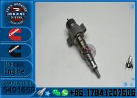China New Construction Machinery Parts Fuel Injector for QSL Diesel 5491659 4359204X Compatible with for C-UMMINS Diesel Engine for sale