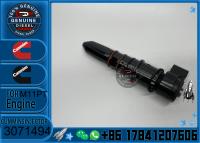 China Diesel Engine NT855 Fuel Injector 3071494 3071497 3079946 4914328 for sale