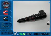 China Diesel Engine NT855 Fuel Injector 3071494 3071497 3079946 4914328 for sale