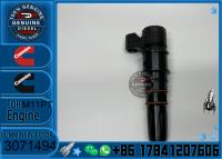 China Diesel Engine NT855 Fuel Injector 3071494 3071497 3079946 4914328 for sale
