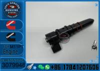 China Diesel Engine 4914452 3079946 4914505 3054220 NTA855 NH855 NT855 Fuel Injector Nozzle for C-ummins Parts for sale
