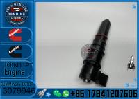 China Diesel Engine 4914452 3079946 4914505 3054220 NTA855 NH855 NT855 Fuel Injector Nozzle for C-ummins Parts for sale