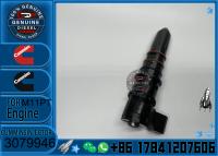 China Diesel Engine 4914452 3079946 4914505 3054220 NTA855 NH855 NT855 Fuel Injector Nozzle for C-ummins Parts for sale
