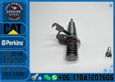 China Diesel Engine Pump Parts HEUI Diesel Fuel Injector 1071230 107-1230 for Excavator Engine 3114/3116/3126 for sale