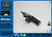 China Diesel Engine Pump Parts HEUI Diesel Fuel Injector 1071230 107-1230 for Excavator Engine 3114/3116/3126 for sale