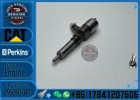 China Caterpilla Durable 295050-0411 Diesel Fuel Injector Spare Parts for Mining Equipment C4.4 for sale