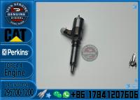 China Caterpilla Premium 295700-1200 Diesel Fuel Injector for Excavator C4.4 Engine Replacement for sale
