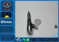 China Caterpilla Premium 295700-1200 Diesel Fuel Injector for Excavator C4.4 Engine Replacement for sale