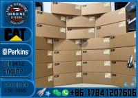 China High quality diesel engine injectors suitable for 3412 engine 138-8756 153-5938 156-3895 169-7408 171-9704 for sale