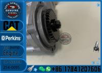 China 2540095 254-0095 319-0607 3190607 Fuel Injection Pump for for sale