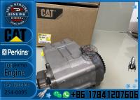 China 2540095 254-0095 319-0607 3190607 Fuel Injection Pump for for sale